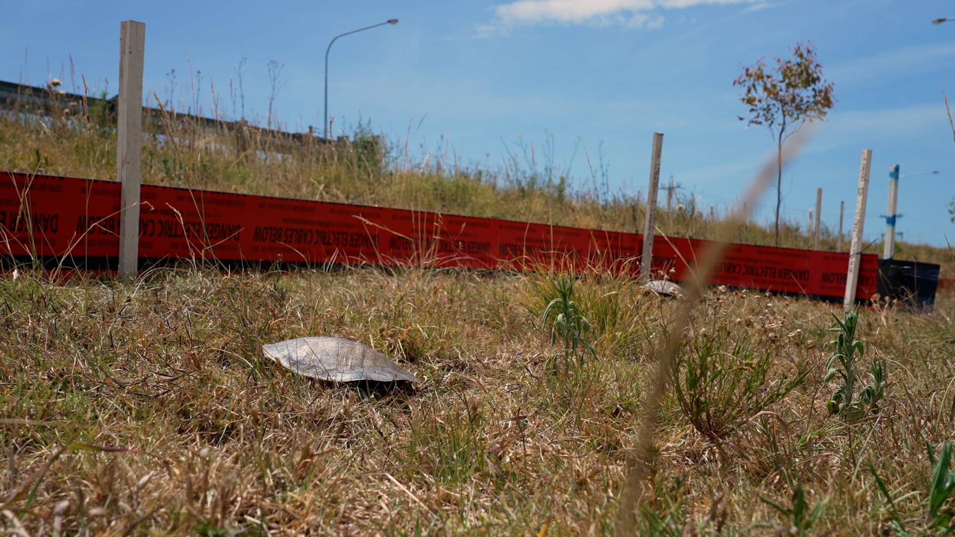 The Special Children’s Christmas Parties Australia – Ausconnex